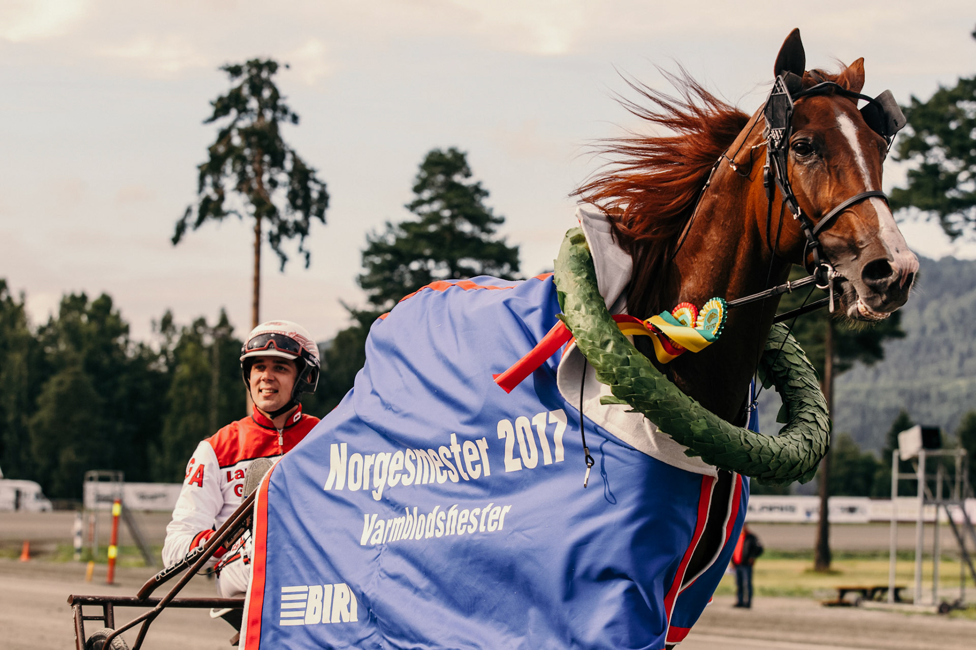 Hvorfor kjøpe norskfødt | Det Norske Travselskap